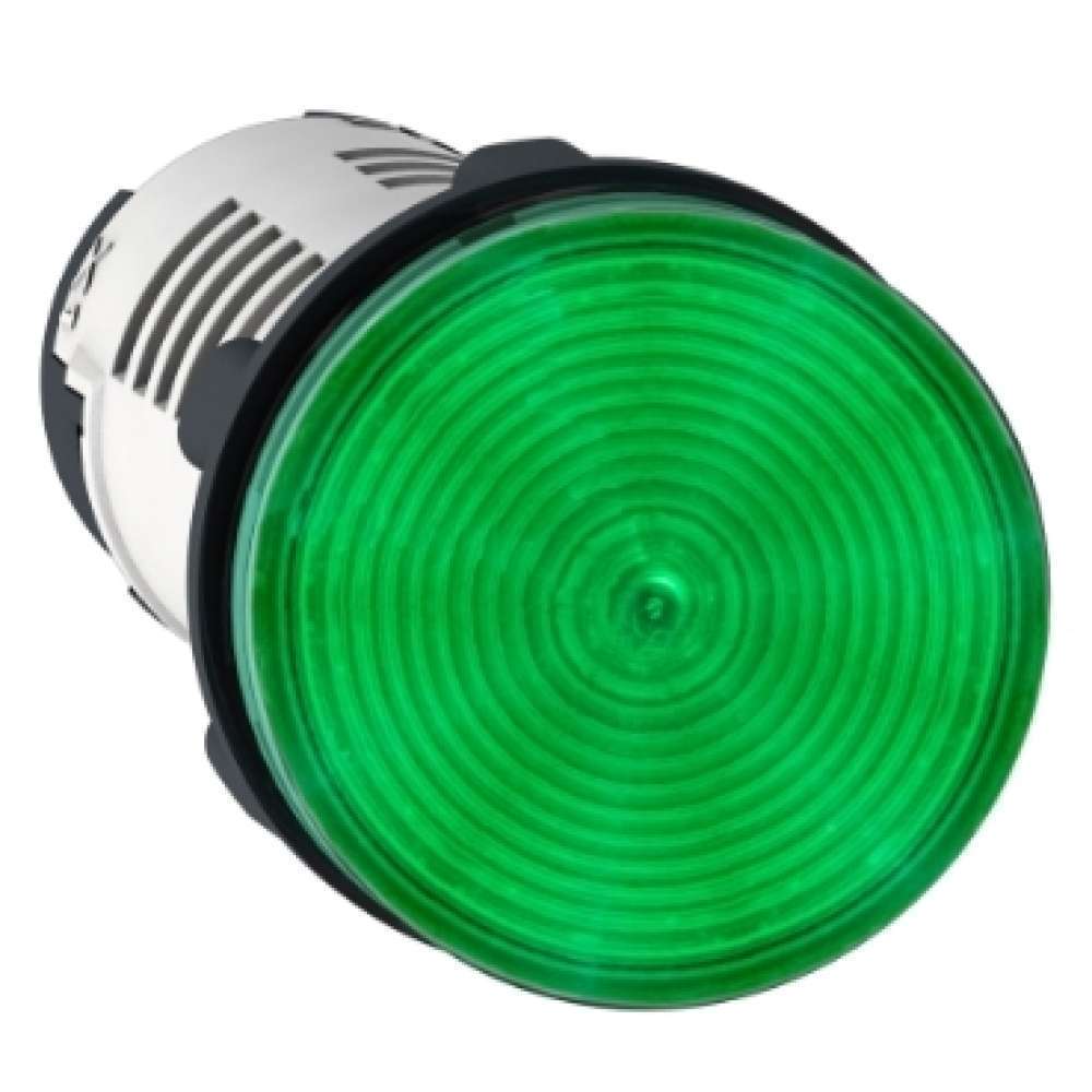 Buy SCHNEIDER ELECTRIC, LED INDICATION LAMP, 230-240V AC, GREEN, 22 mm ...